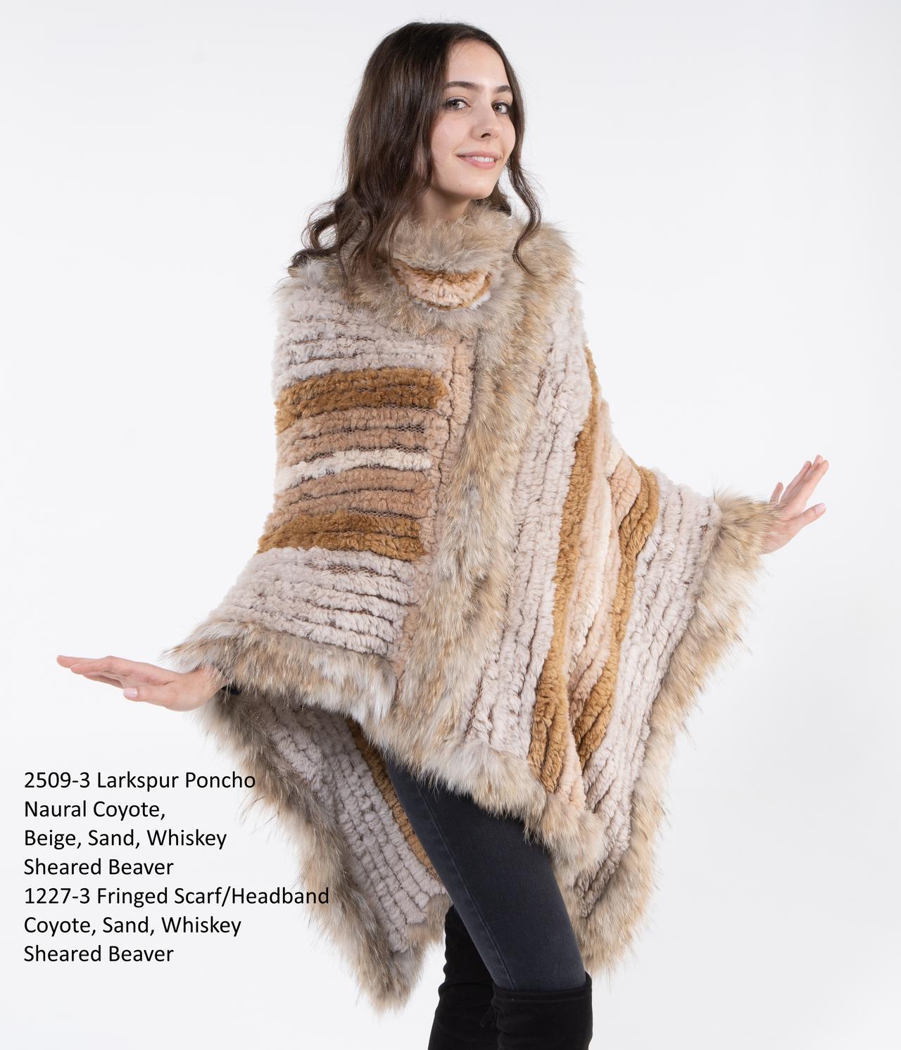 Fair November - Paula Lishman Limited